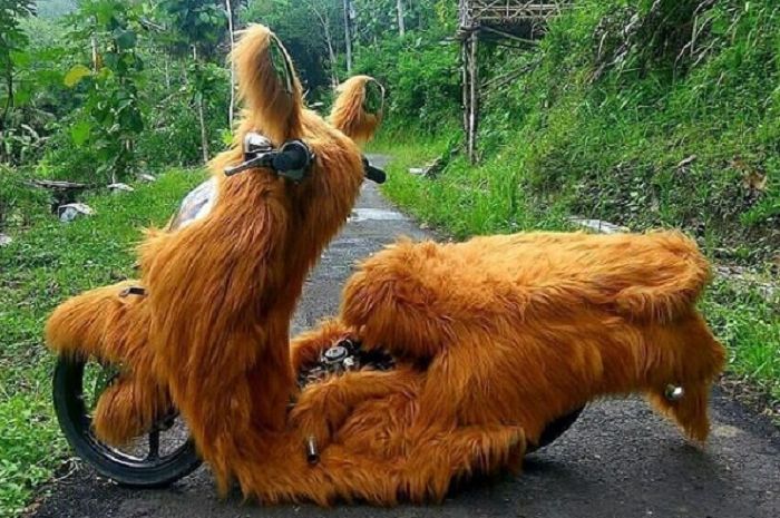 YPH - Modifikasi Motor Seperti Binatang Anggora ini Bikin Melongo!