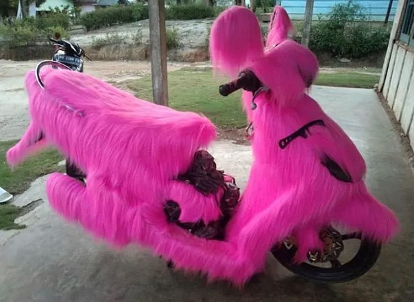 YPH - Modifikasi Motor Seperti Binatang Anggora ini Bikin Melongo!